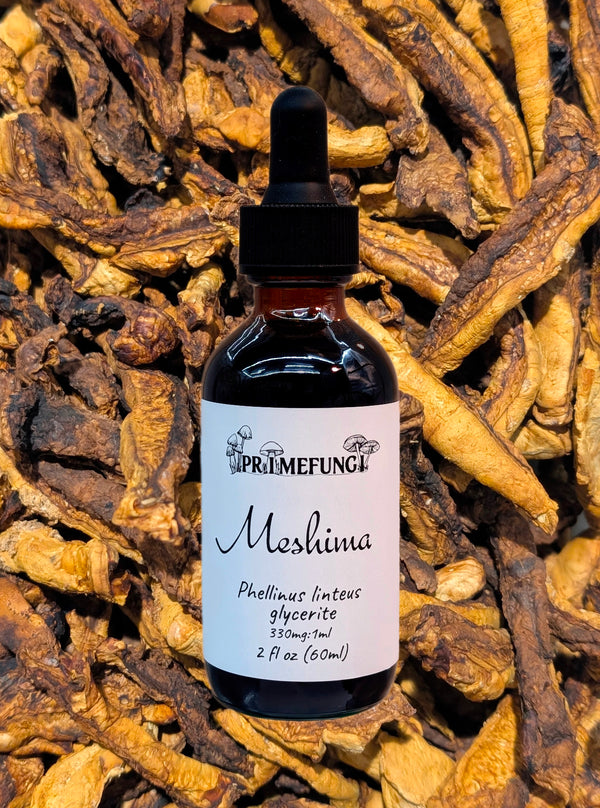 Meshima Mushroom Extract – Prime Fungi